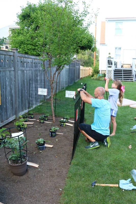 Our new Garden and Tips to keep Animals Out - Nesting With Grace