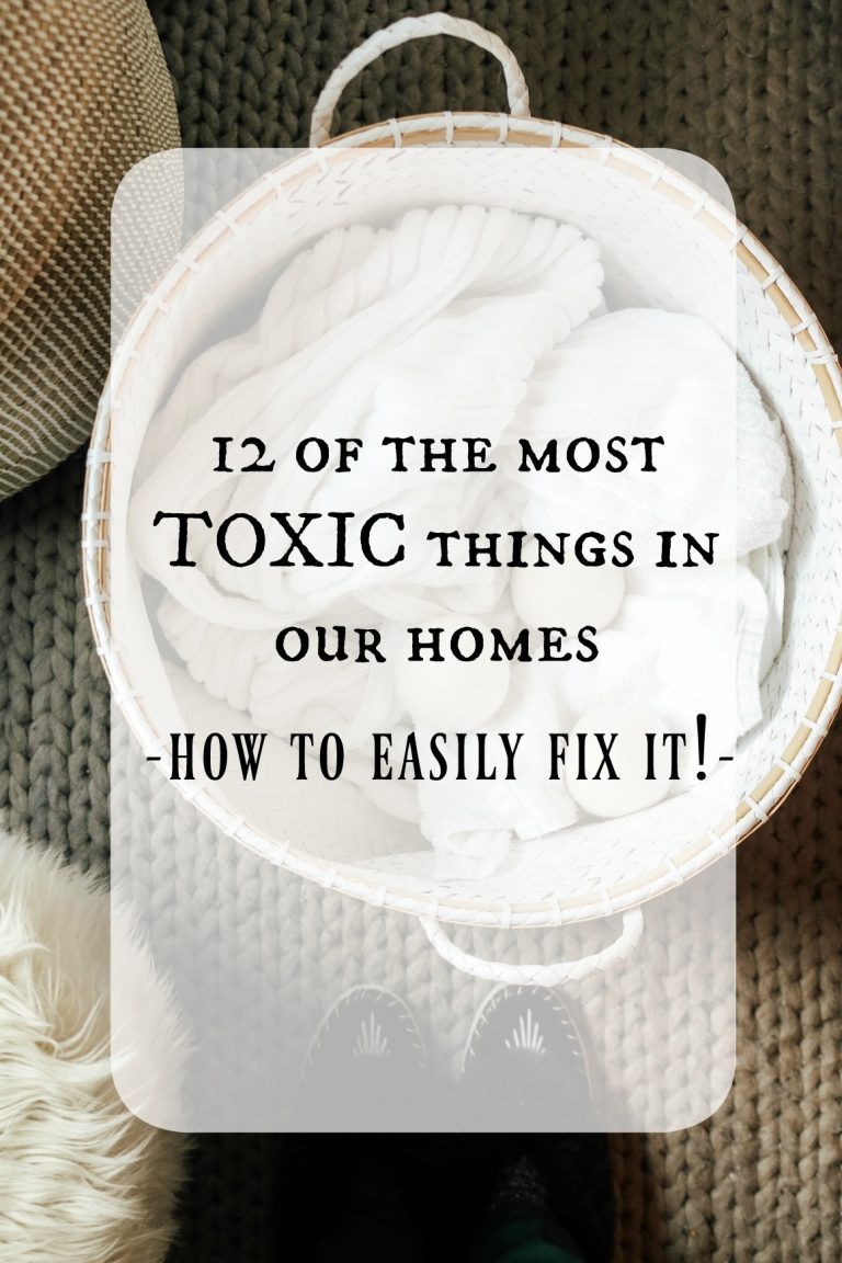 12 of the Most Toxic Things in your Home and How to Change It ...