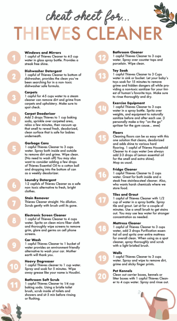 How I Clean my Entire Home using Thieves- No Toxins! - Nesting With Grace