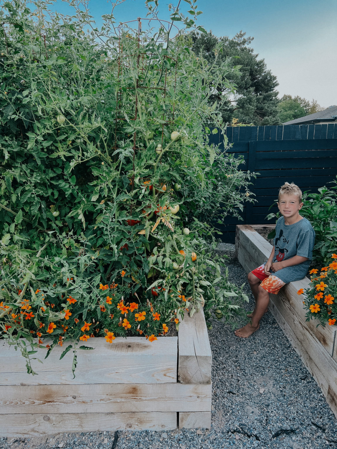 Our Garden and Favorite Outdoor Finds - Nesting With Grace